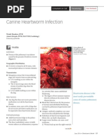 Trilostane Dosing Monitoring | PDF | Cortisol | Clinical Medicine