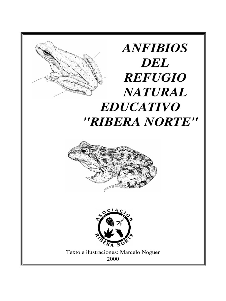 Anfibios de Ribera Norte | PDF | Branquia | Rana