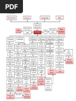 CA Buli Pathway | PDF
