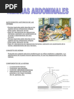 Anatomía de la Región Inguinocrural | PDF | Abdomen | Anatomía