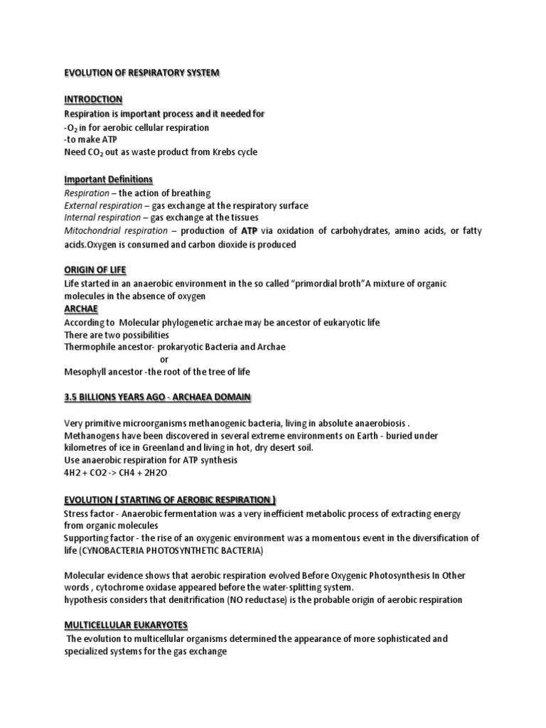 Evolution of Respiratory System | PDF | Gill | Lung