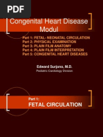 FUSIC Heart Logbook Reporting Form | PDF