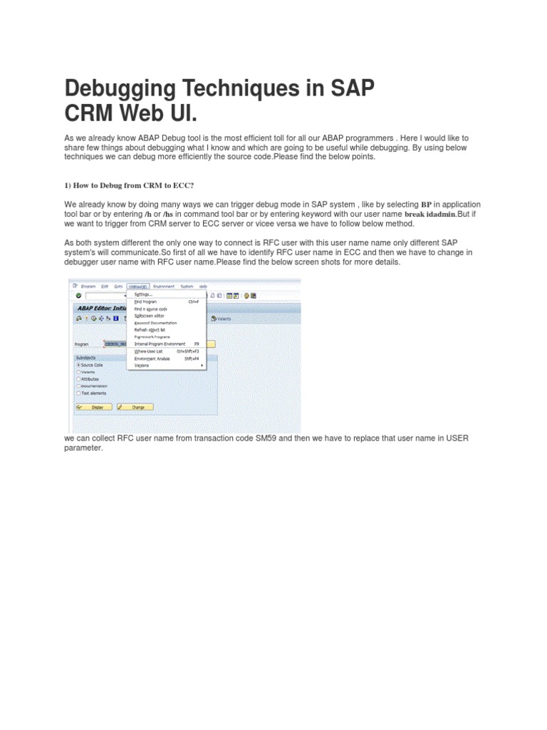 Debugging Techniques in SAP CRM Web UI. | PDF | Digital Technology | Computer Programming