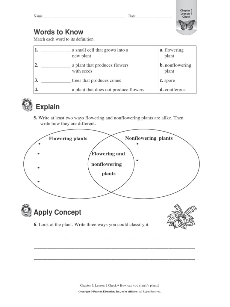 Lesson Check 3-1 | PDF | Language Arts & Discipline