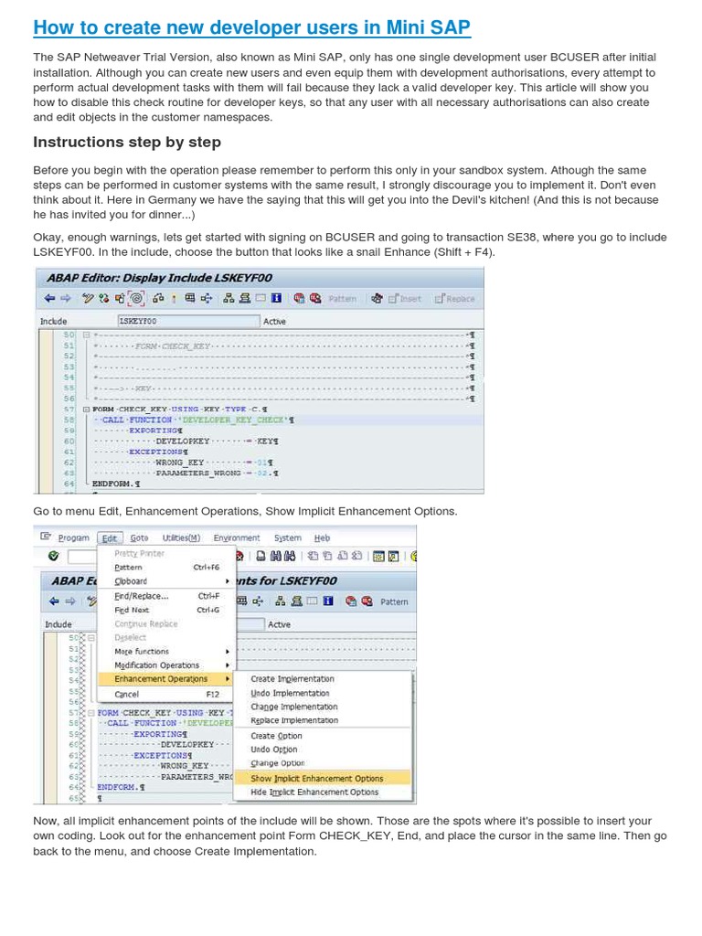 Create Developer Users in Mini SAP | PDF | Computing | Software