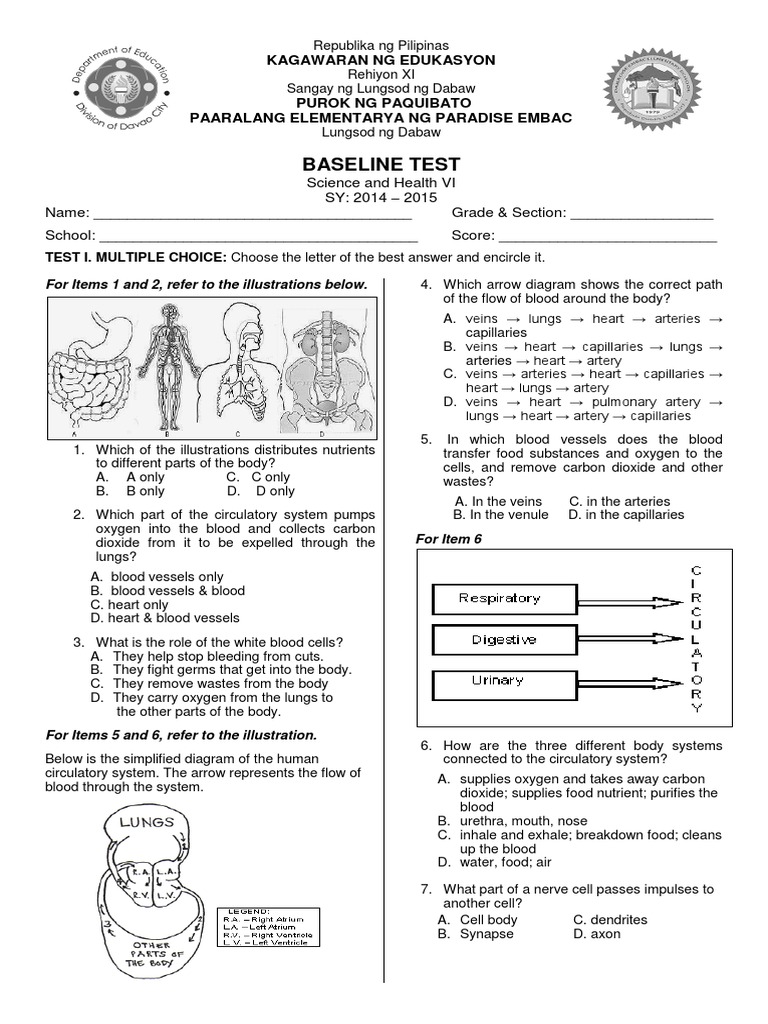 Class 6 Science Baseline Test 2014-2015 | PDF | Artery | Heart