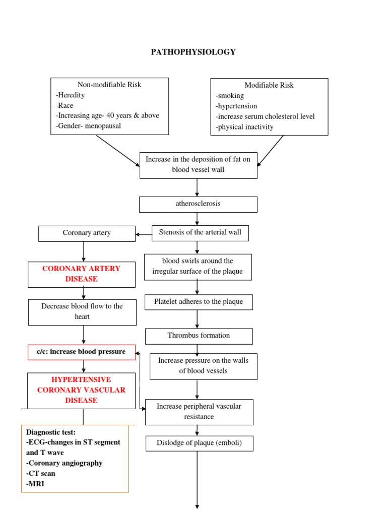HCVD Cad Cva Infarction | PDF | Atheroma | Blood Vessel