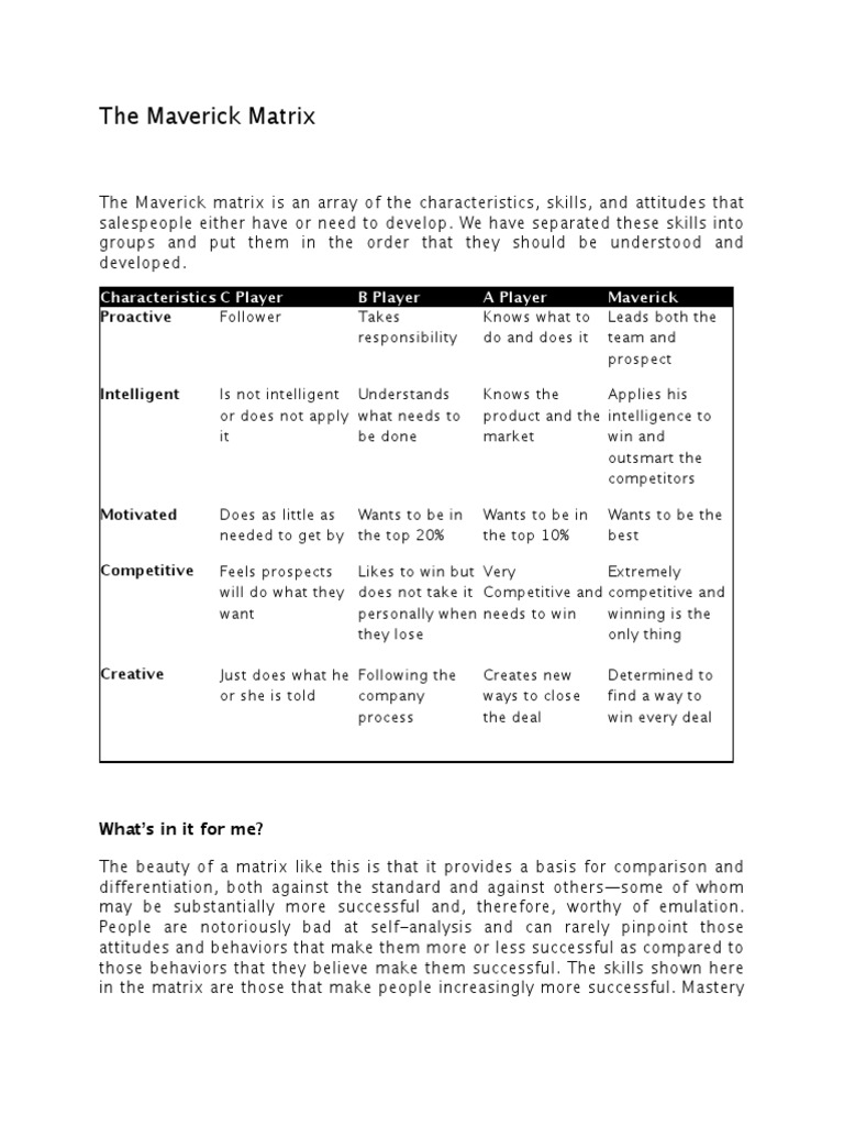 The Maverick Matrix | PDF | Strategic Management | Sales