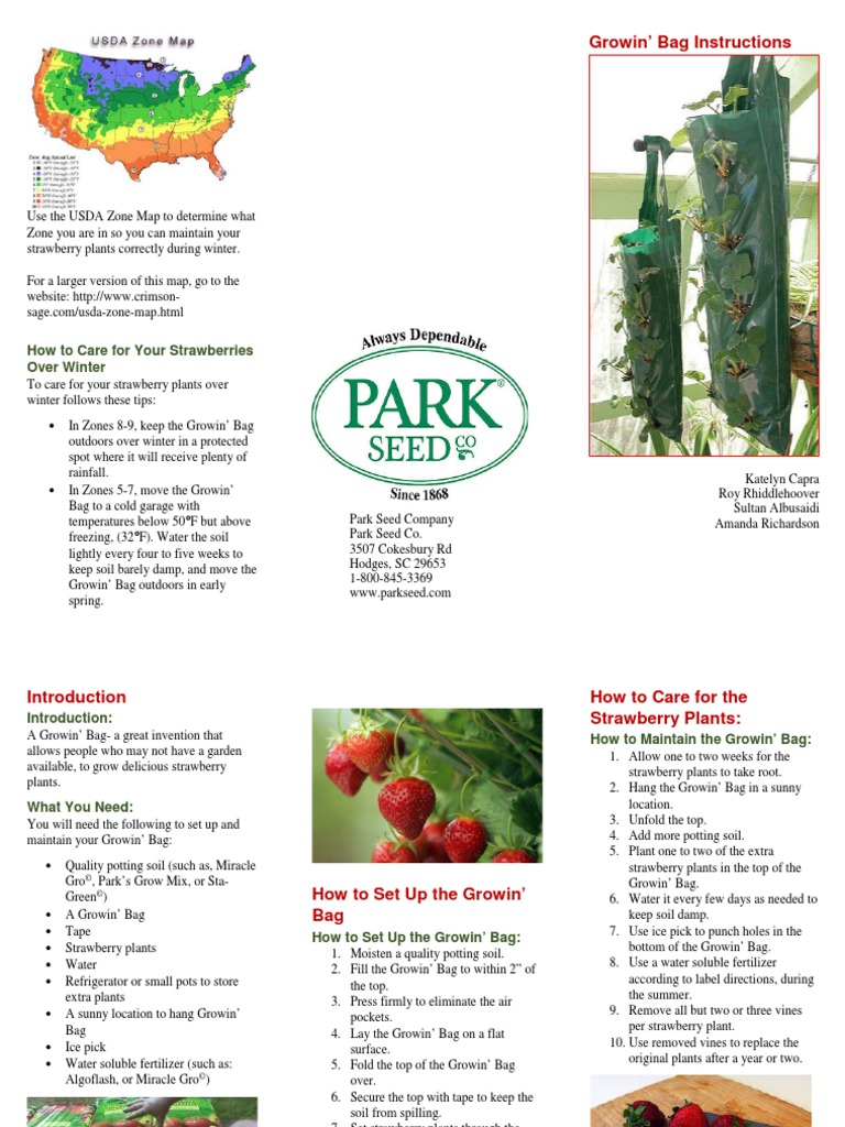 Instructions Brochure | PDF