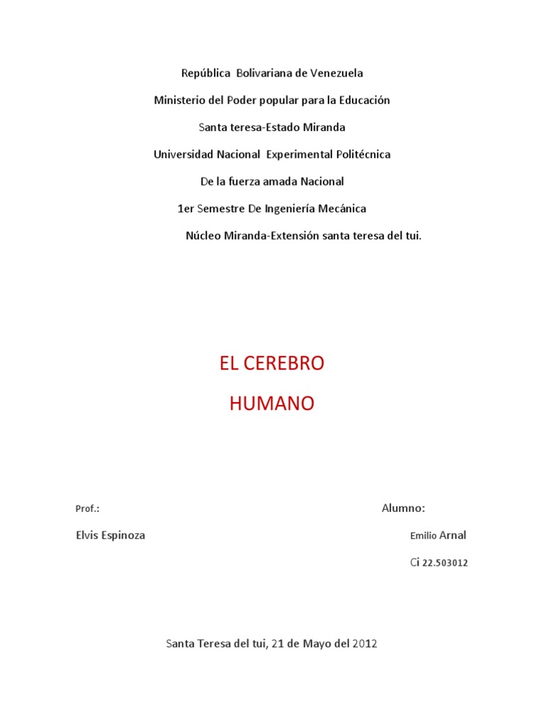 El Cerebro Humano Pdf Hemisferio Cerebral Evaluación Neuropsicológica
