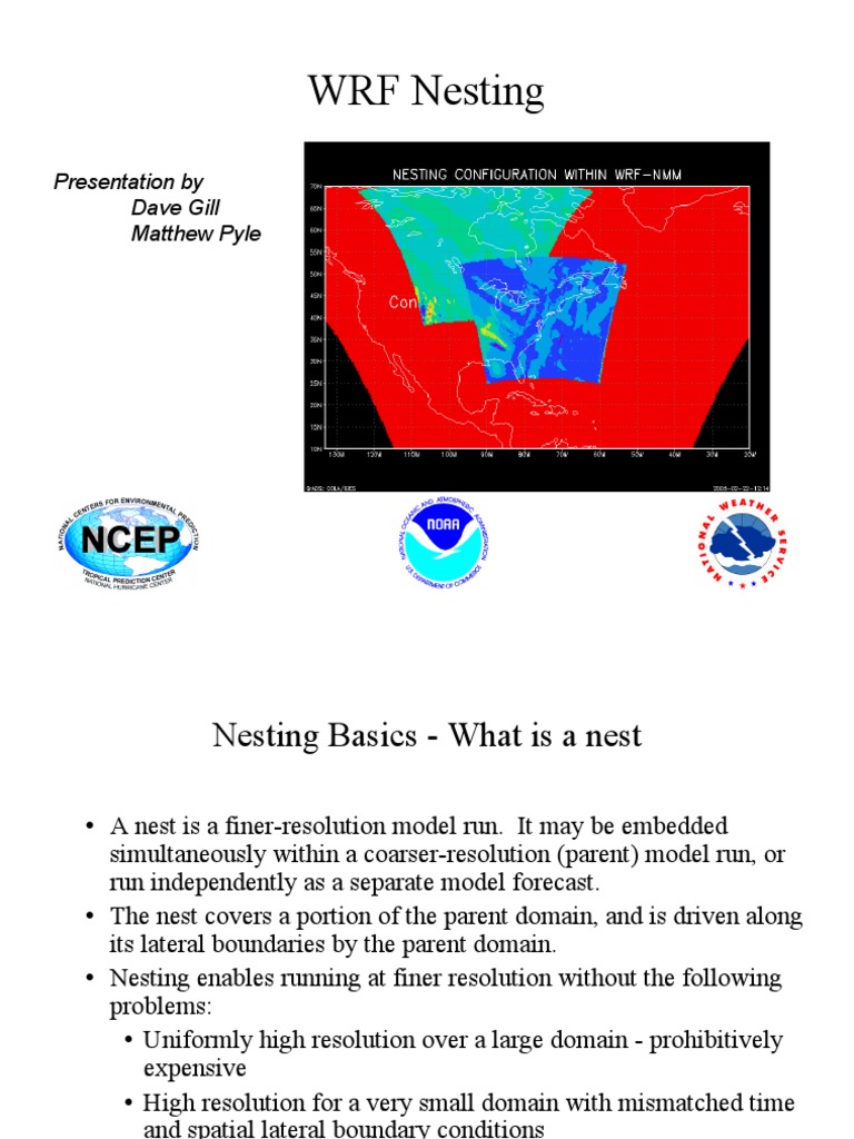 WRF Nesting | PDF | Areas Of Computer Science | Computing