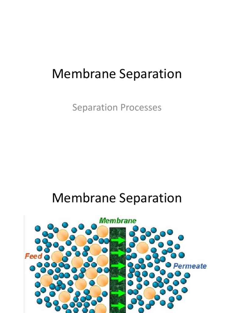 Membrane Separation | PDF