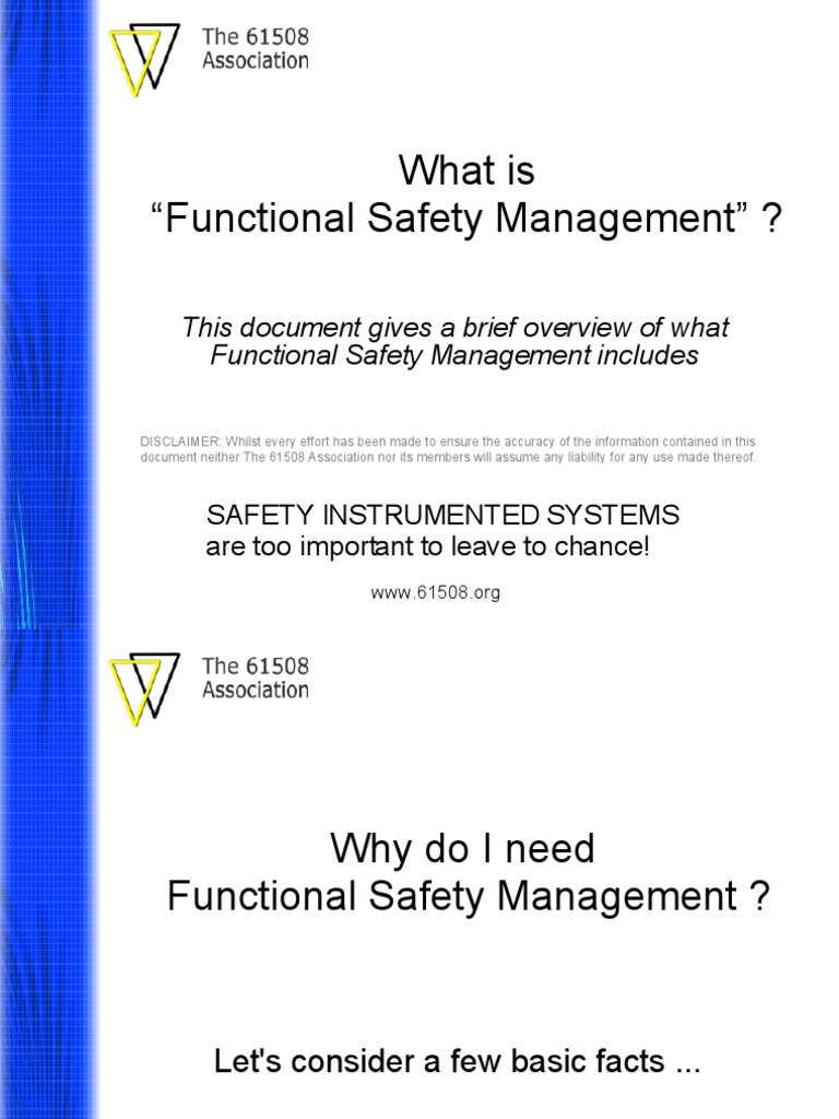 What Is Functional Safety Management | PDF | Safety | Prevention