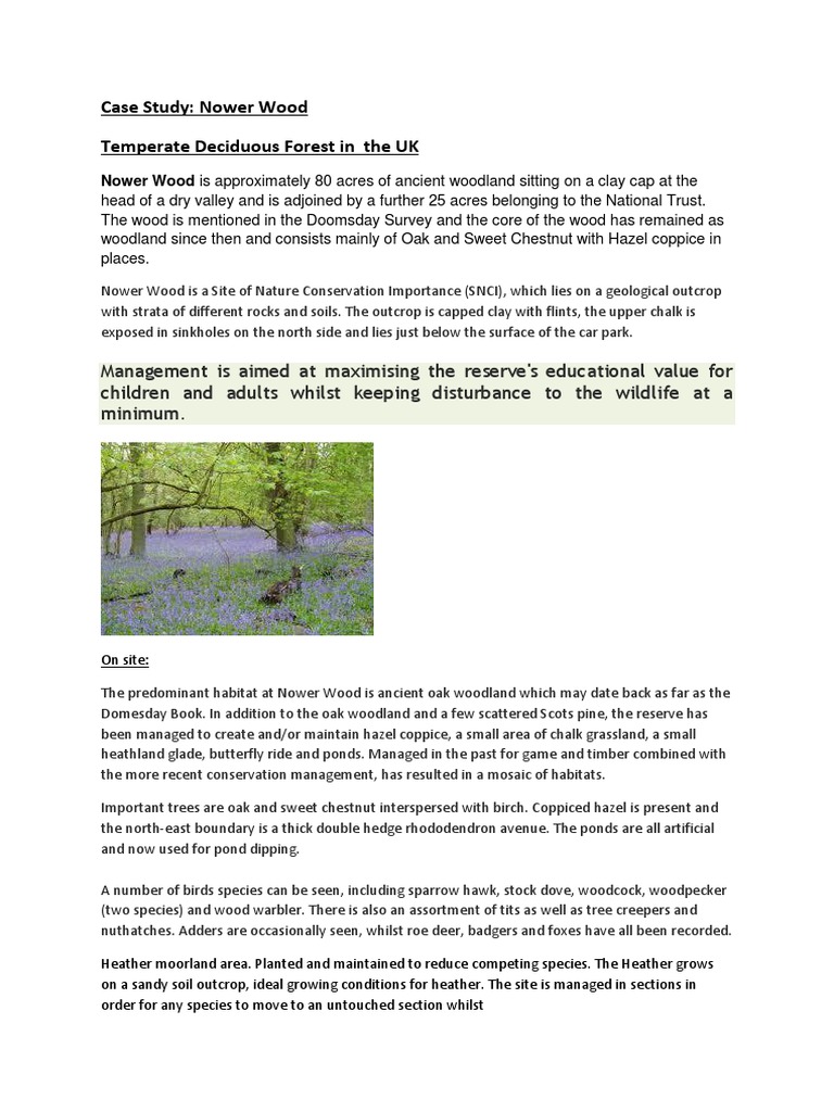 Ecosystems Challenge and Change: Nower Wood (SNCI) | PDF | Trees | Wood