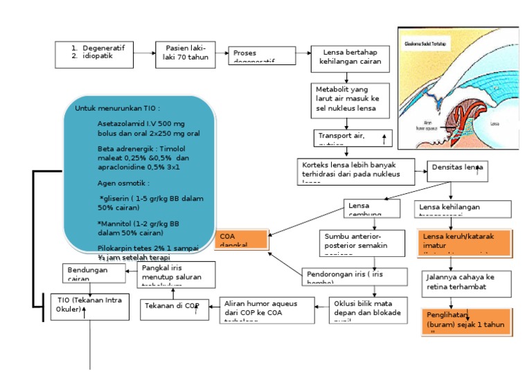 Mapping Glaukoma | PDF