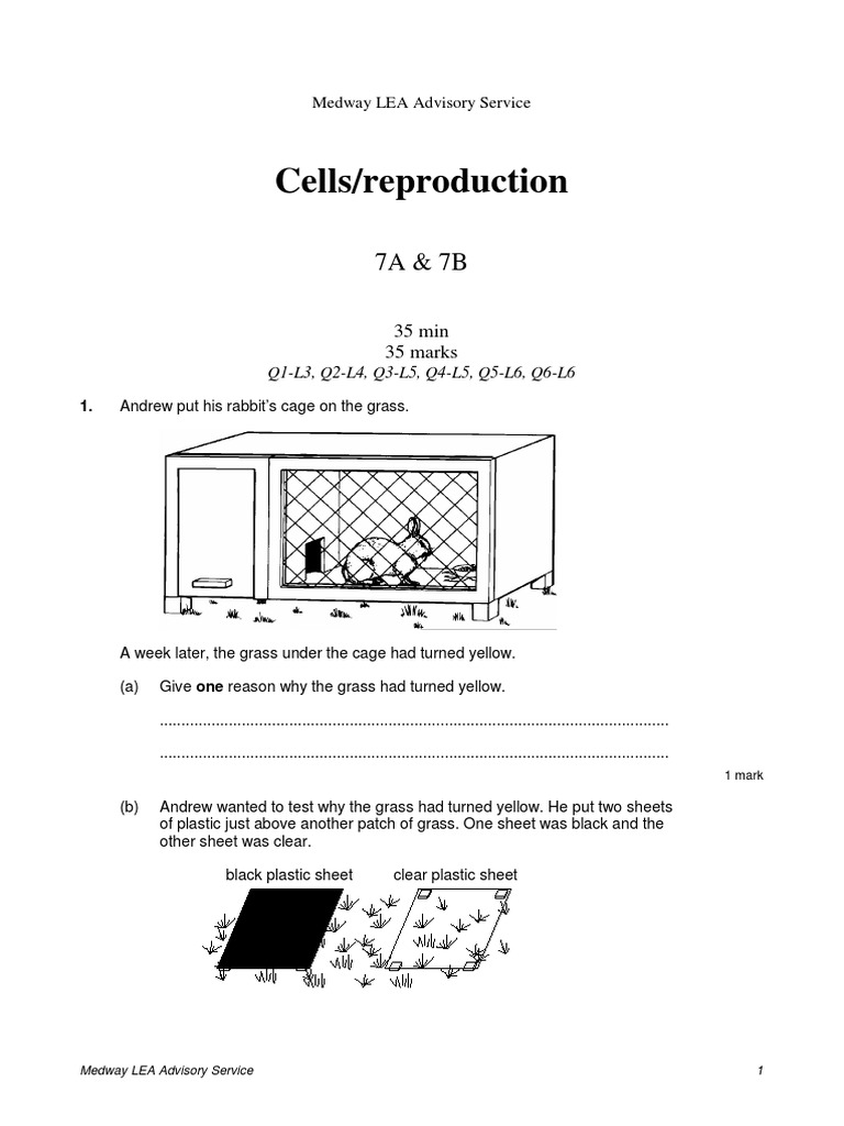 Medway LEA Advisory Service: Cells & Reproduction | PDF | Chloroplast ...