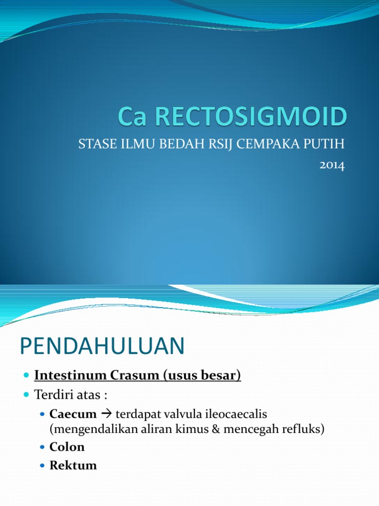 Ca RECTOSIGMOID | PDF