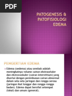 Jenis dan Penyebab Edema Medis | PDF | Perjalanan | Kesehatan Holistik