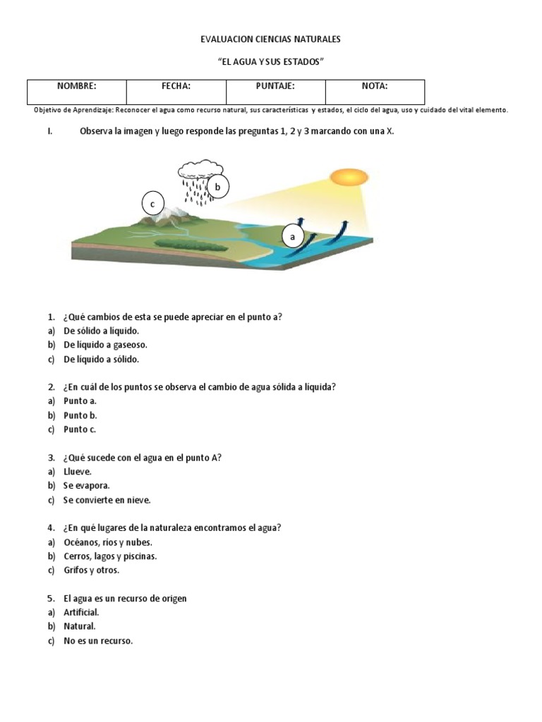 Evaluacion Ciencias Naturales El Agua | Descargar gratis PDF | El ciclo ...