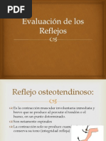 Reflejo Cremasterico | PDF