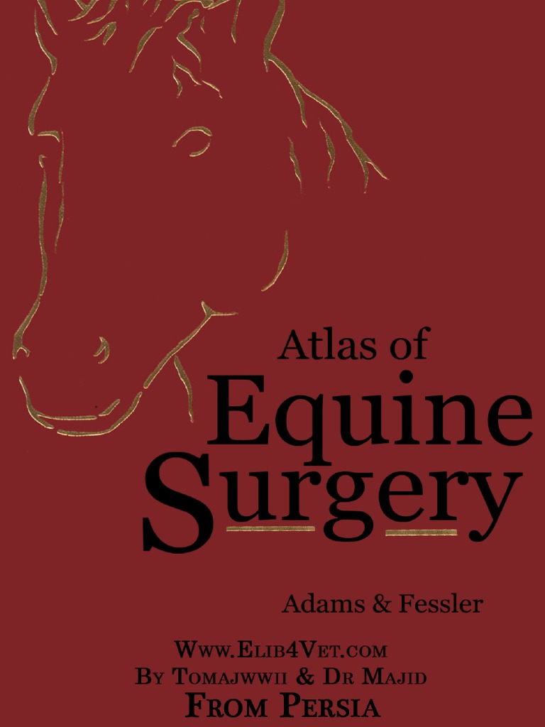 Atlas of Equine Surgery | PDF
