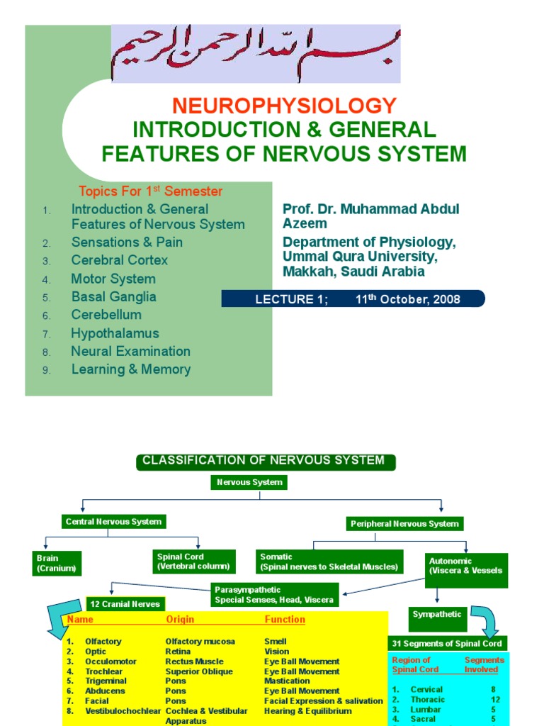 Lecture 1 Introduction & General Features of Nervous System | PDF ... Lecture 1 Introduction & General Features of Nervous System | PDF ...
