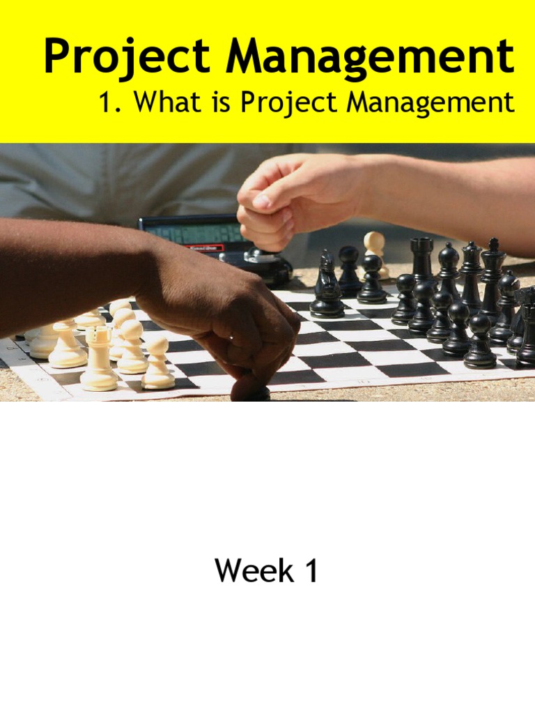 Basic of Project Management | PDF | Project Management | Procurement