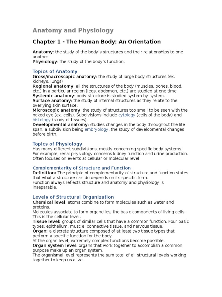 Anatomy and Physiology Notes | PDF | Epithelium | Cartilage