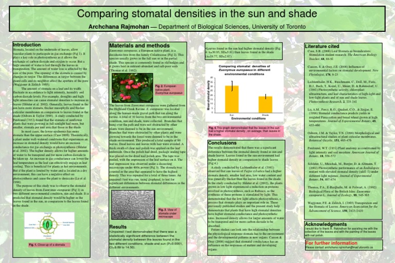 Comparing Stomatal Densities in Sun and Shade | PDF | Stoma | Leaf