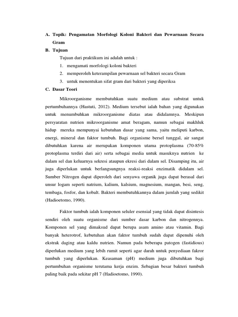Laporan Praktikum Mikrobiologi Koloni Bakteri | PDF | Griya & Taman ...