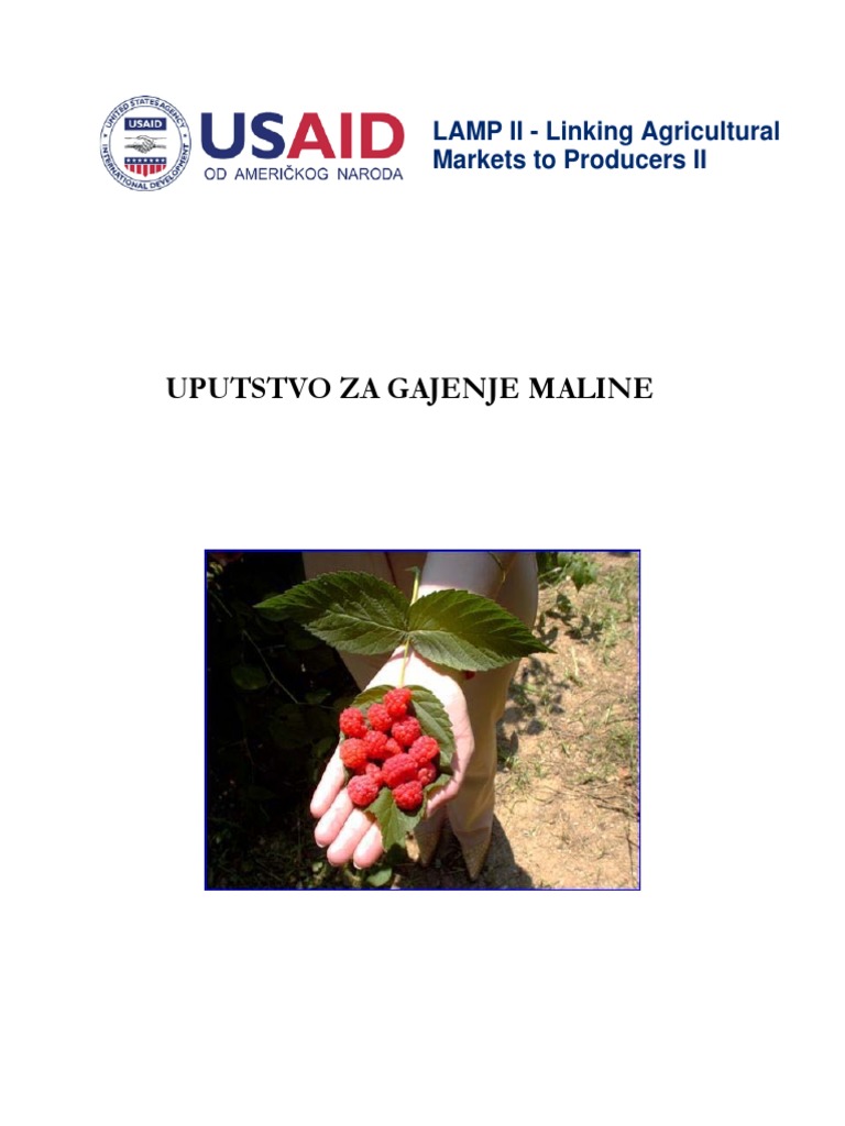 Uputstvo Za Maline | PDF