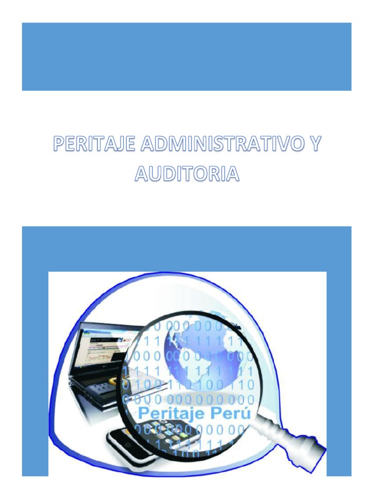 Pericia Administrativa y Auditoria | PDF | Auditoría financiera ...