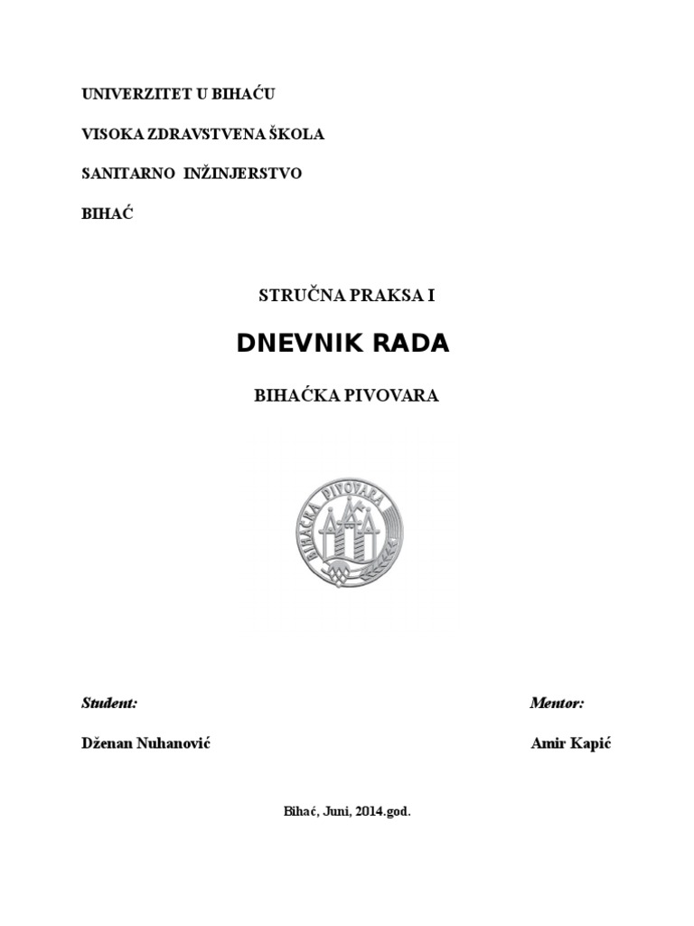 Dnevnik Rada - Stručna praksa I