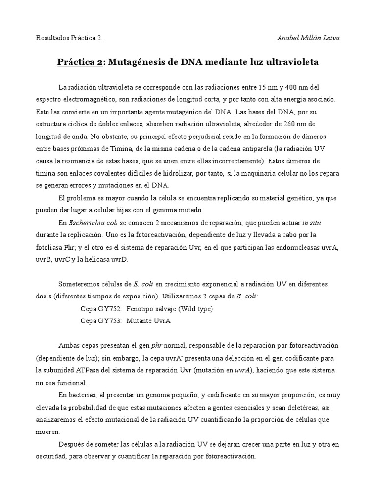 BM Pract2 | PDF | Mutagénesis | Adn