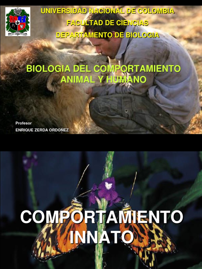 Mecanismos del comportamiento animal y humano: Un análisis del ...