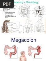 Upper GI Endoscopy Report Template | PDF | Stomach | Endoscopy