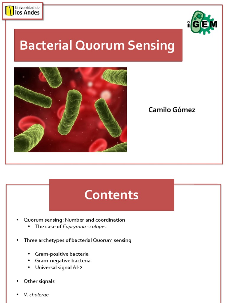 Bacterial Communication Through Quorum Sensing: An In-Depth Look at a ...