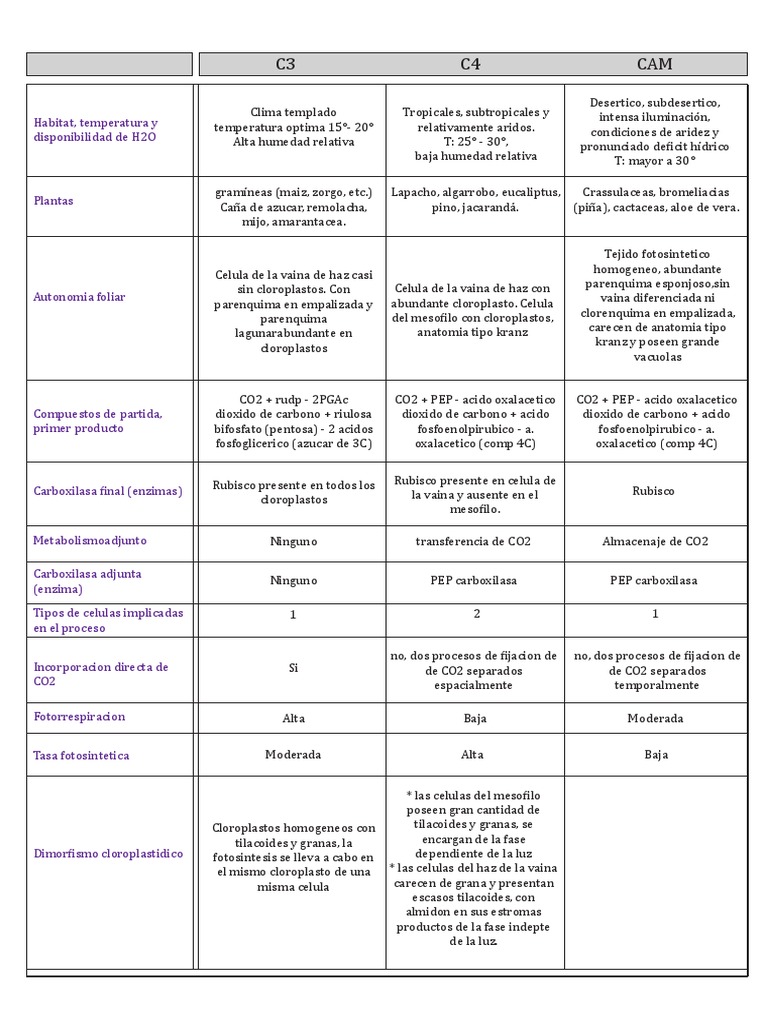 Comparativo C3 C4 y Cam PDF | PDF