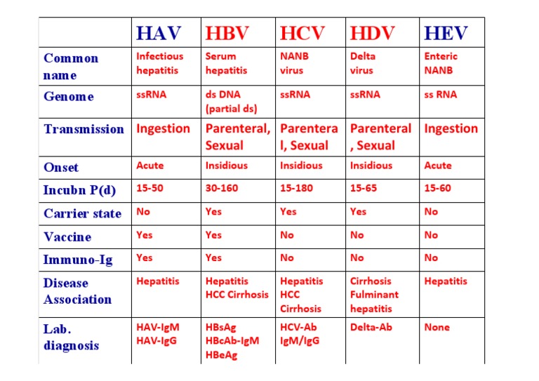 Hepatitis Virus Types and Diagnostics | PDF