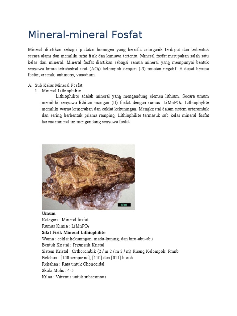 Mineral Mineral Fosfat | PDF