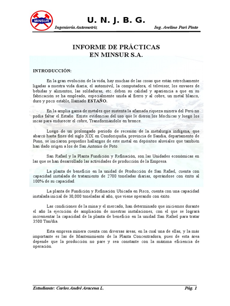 Informe de Practicas Pre Profesionales | PDF | Fabricación e ingeniería | Science