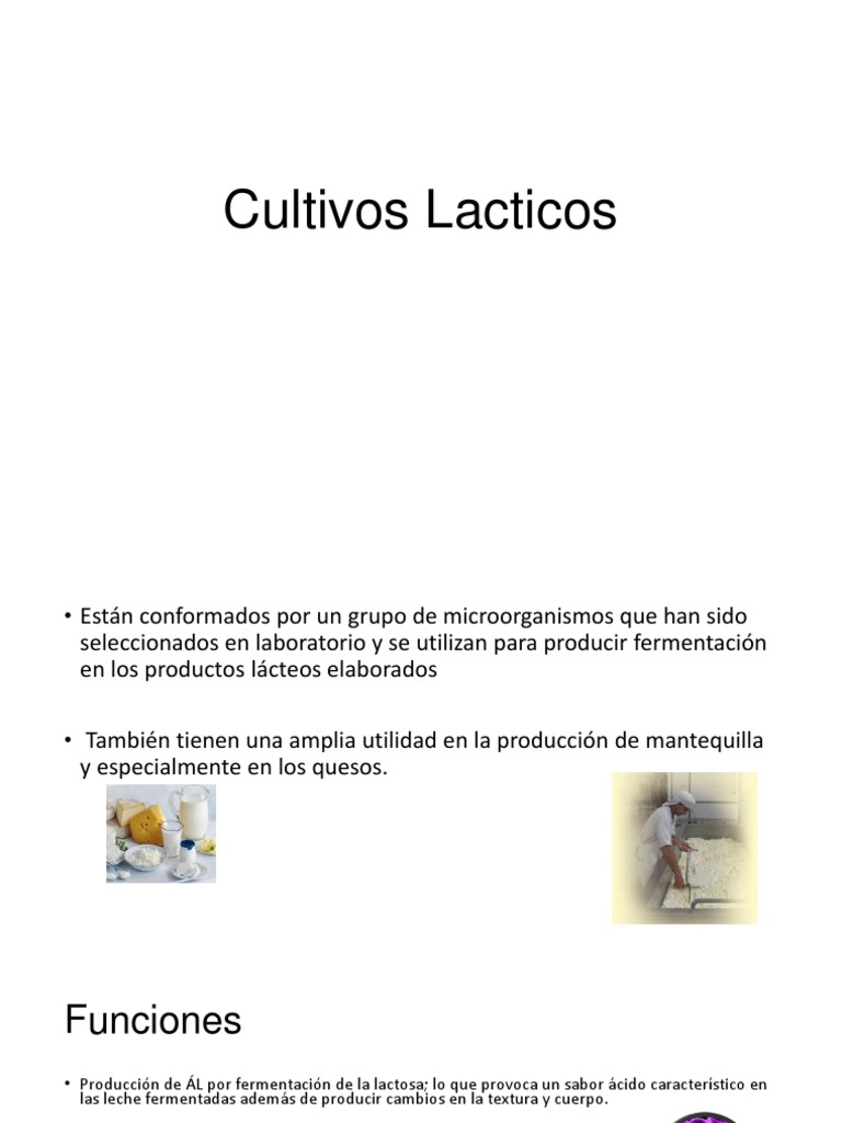 Cultivos Lacticos | PDF | Microbiología | Biología