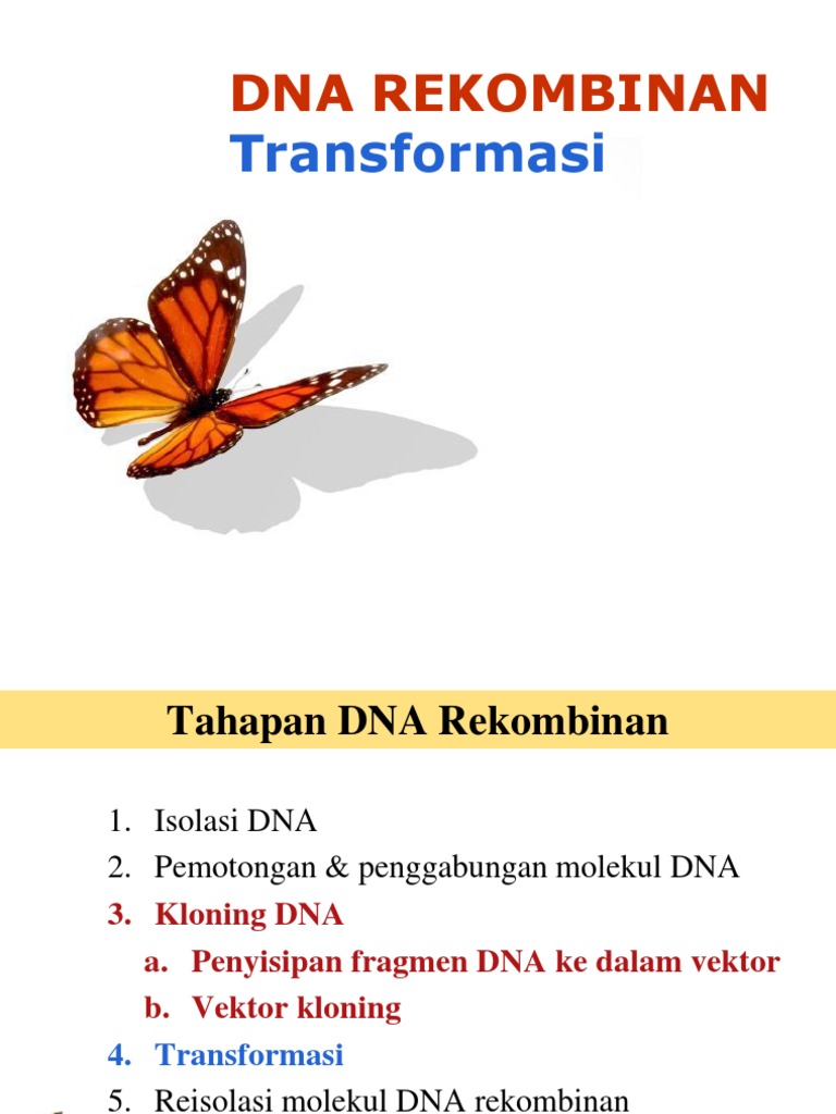 Pengantar Bioteknologi-7 DNA Rekombinan