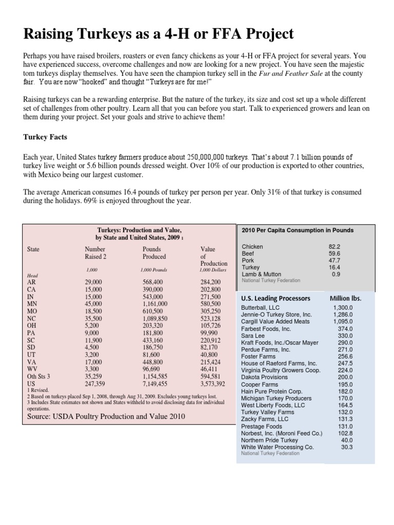Raising Turkeys For FFA or 4H | PDF | Poultry | Breeding