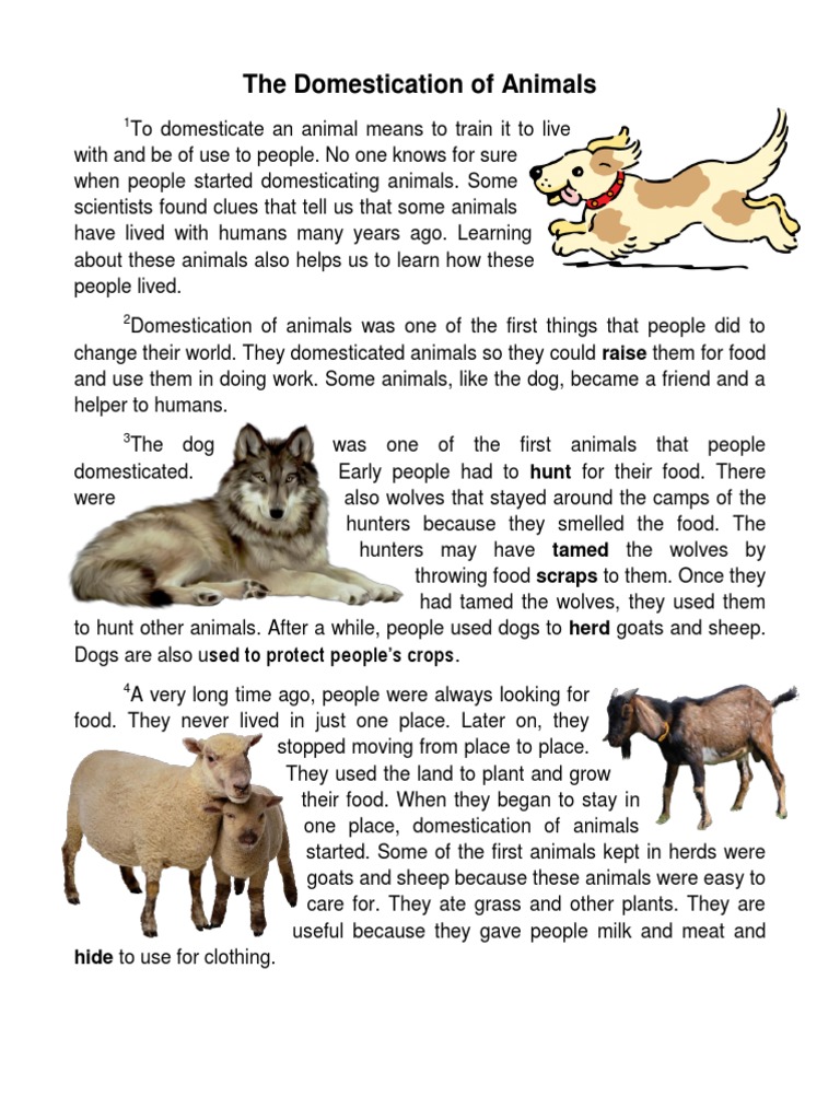 Domestication Of Animals Timeline