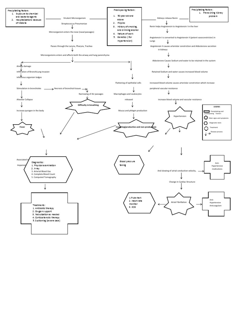 Pathophysiology CAP and HTN | Hypertension | Pneumonia