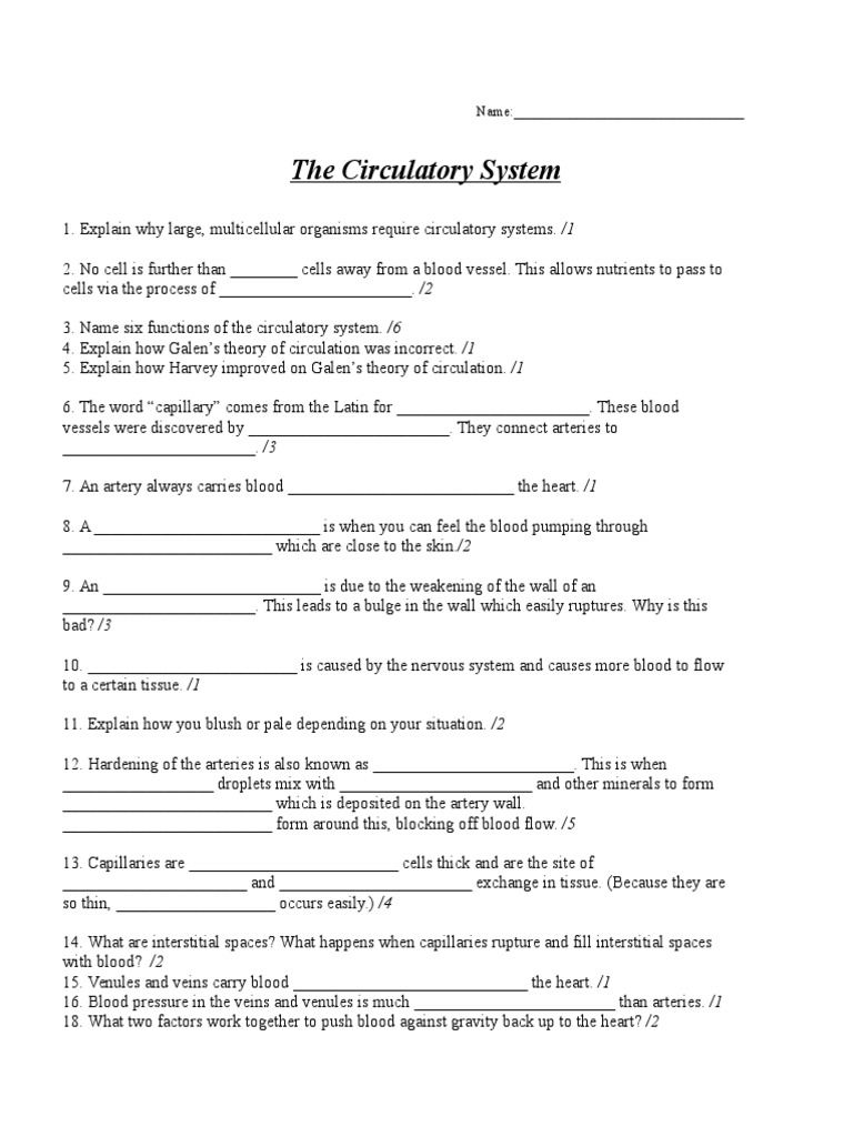 Circulatory System Handout | PDF | Heart | Circulatory System