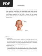 Pembagian Regio Tubuh Manusia | PDF