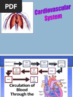 ICU One Pager External Pacemakers v11 | PDF | Artificial Cardiac ...
