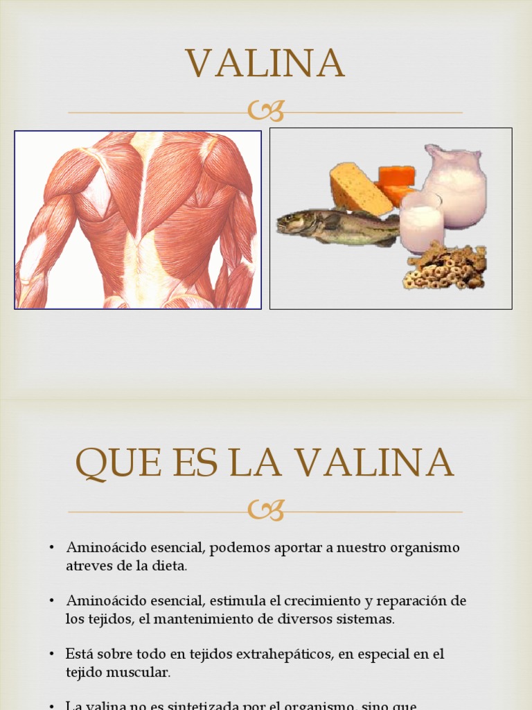 EXPOSICION VALINA LEUCINA.pptx | Metabolismo | Alimentos